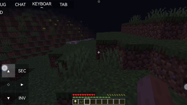 как меня убил скелет 2 раз!