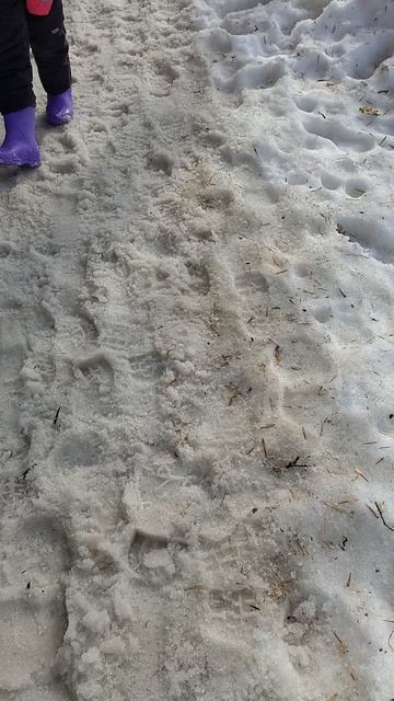 №1800 ул. Газеты Звезда. 16 марта 2026 г., 13:01:57 VID_20260316_130030625