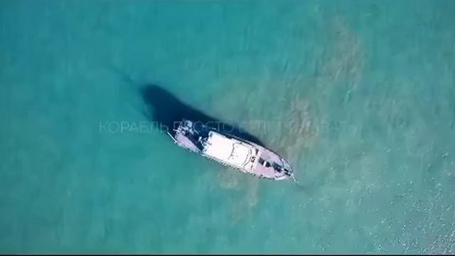 Арнольд Шварценеггер: всего 2% людей могут следовать этим правилам