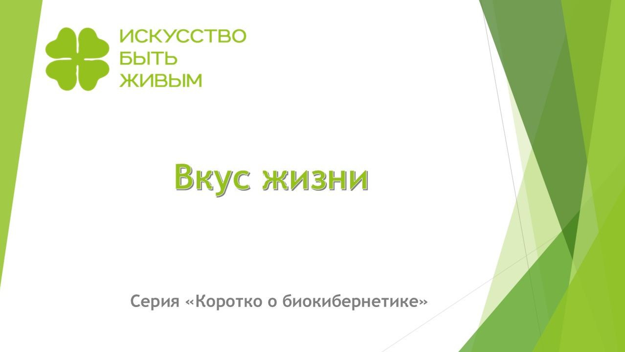 Вкус жизни. Серия Коротко о биокибернетике