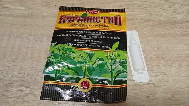 На 12 день после пекировки обработала томаты, чтобы они не вытянулись