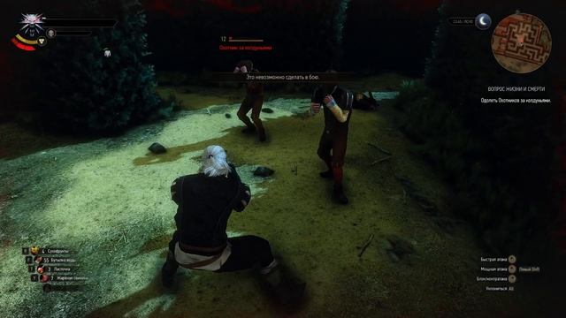 The Witcher 3 Серия 30