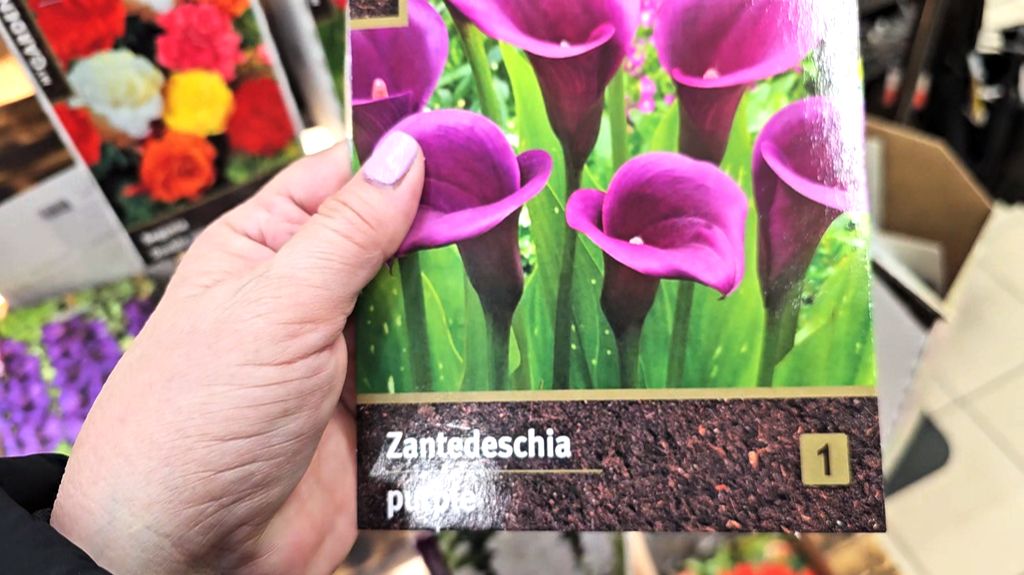 Магазин Лента.Море цветов для посадки.Посуда.Март 2026