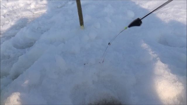 ТОЧКА ЛОВА. Р.Волга. Вялый клёв.