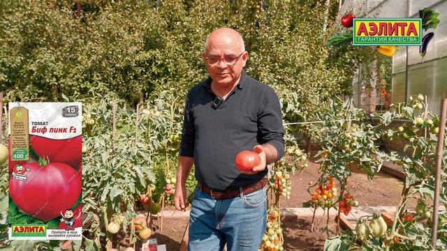 Томат БИФ ПИНК F1 в ОТКРЫТОМ ГРУНТЕ