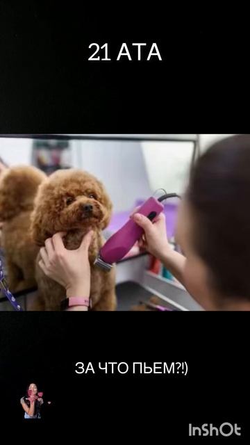 21 марта За что пьем?!)