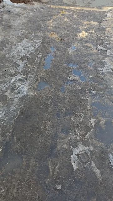 №1821 Двор Сибирская 73. 19 марта 2026 г., 14:16:52 VID_20260319_141607670