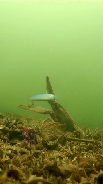 ВОТ ЭТО КАДР! 😼🫶😎