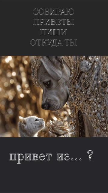 СОБИРАЮ ПРИВЕТЫ ХАЙП ПИШИ ПРИВЕТ #ТОП #yappy #дети #роскошь #love #russia #rutube #shorts #moskow #м