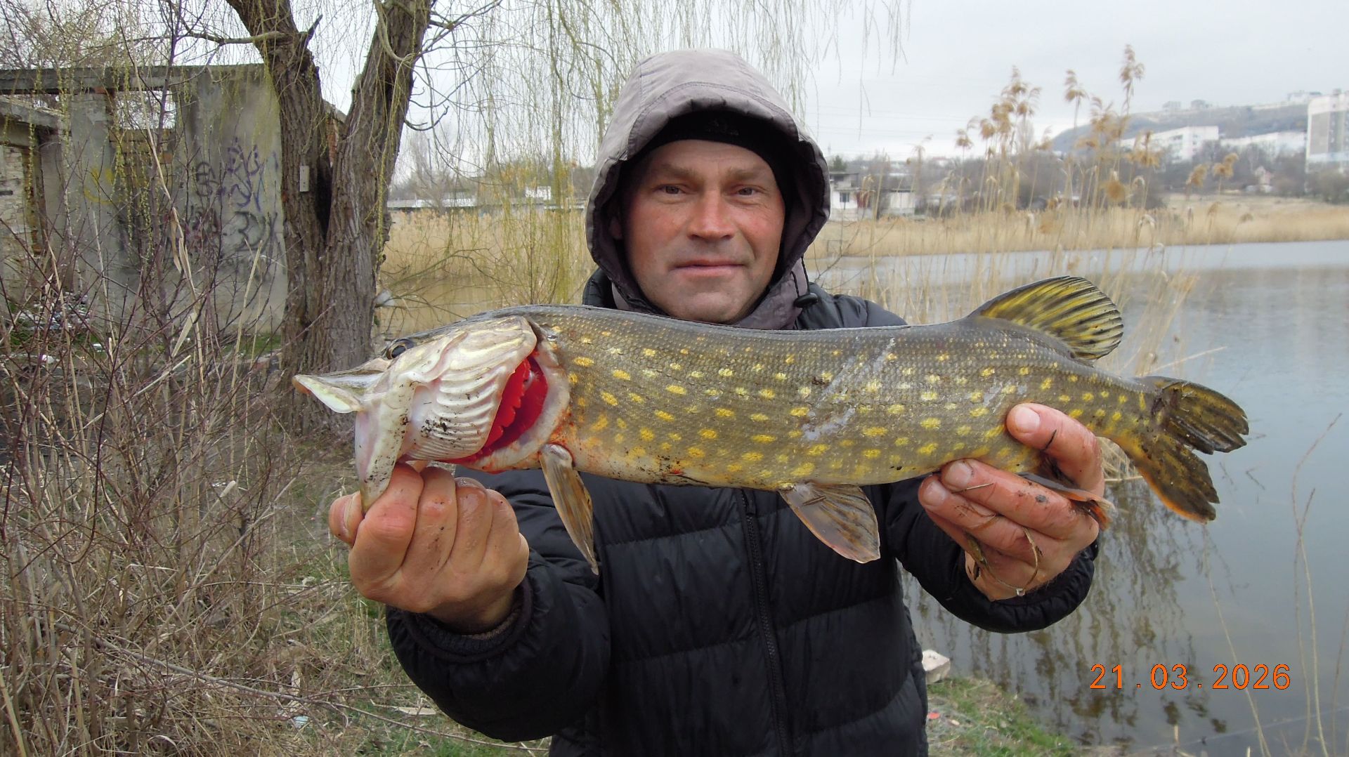 Март и Щука.