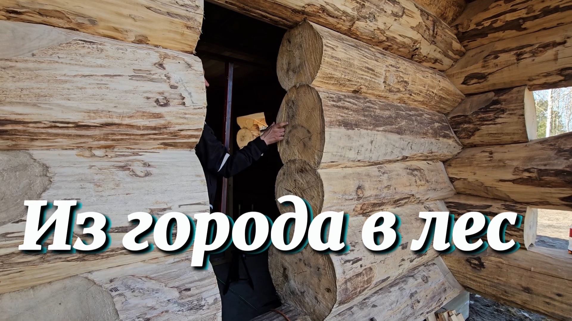 Из города в лес. В 4 руки собрали коптильню из того что было и отправились в лес по хуторам.