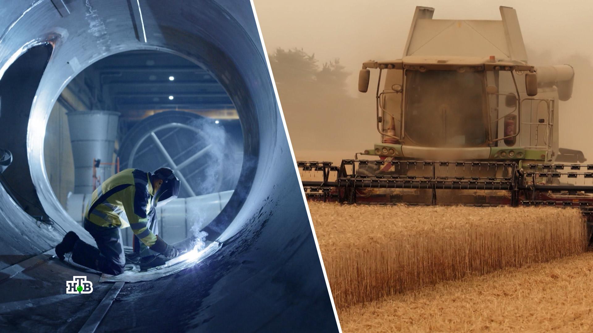 Новый тренд: молодежь выбирает рабочие профессии вместо офисов | «Центральное телевидение»