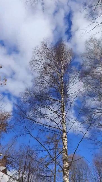 Весеннее небо