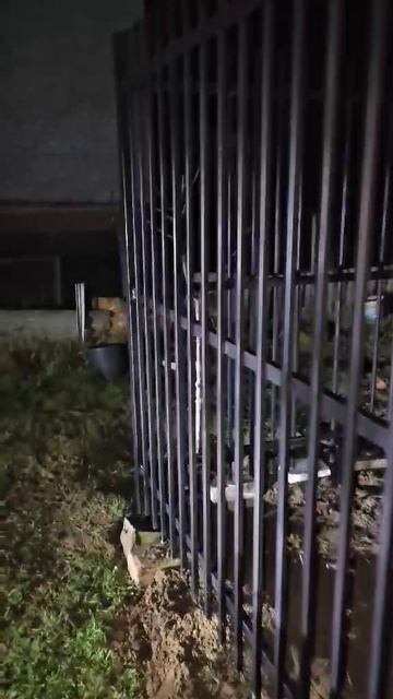 Вольер для собаки I Металлический вольер I Изготовление вольеров в Гомеле