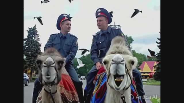 Оживление фотографии №173