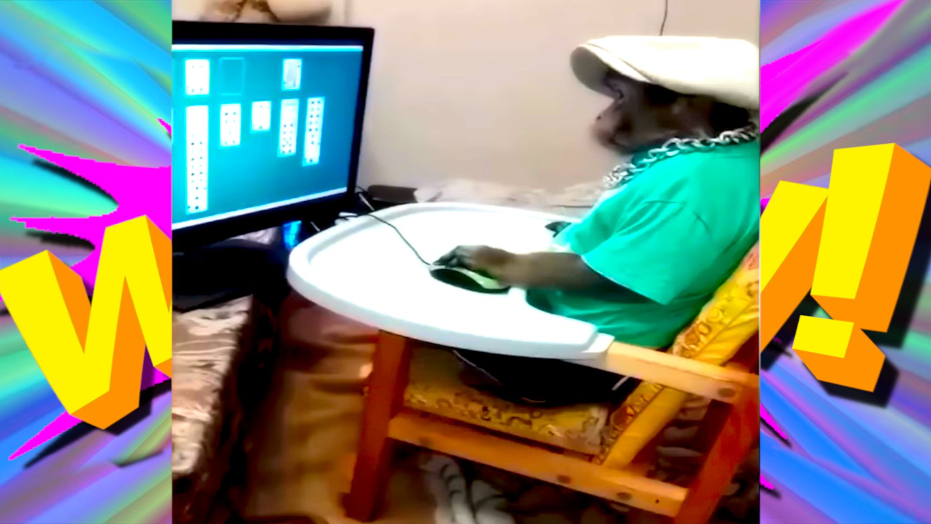 "СМЕШНЫЕ ВИДЕО: ПРИКОЛЫ, КОТОРЫЕ НЕЛЬЗЯ ПРОПУСТИТЬ"