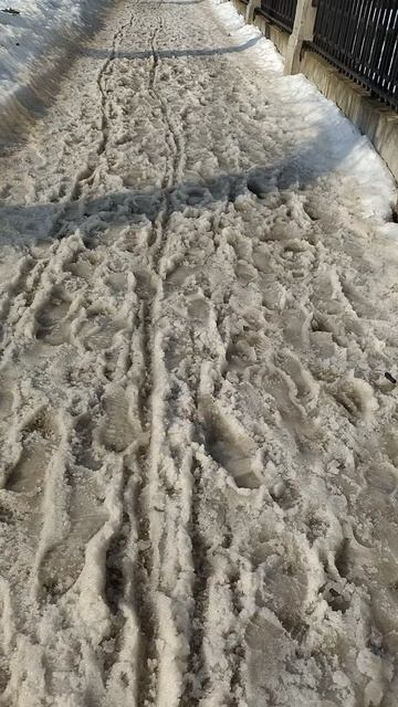 №1808 ул. 25 Октября. 16 марта 2026 г., 15:05:11 VID_20260316_150356628