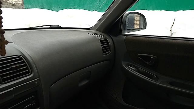 Грызуны поворотника