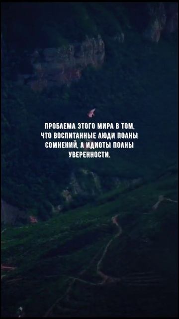 #1029 Цитата дня. Мотивация.