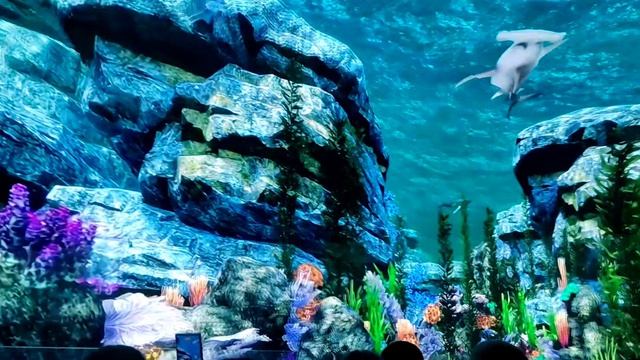 Подводное приключение