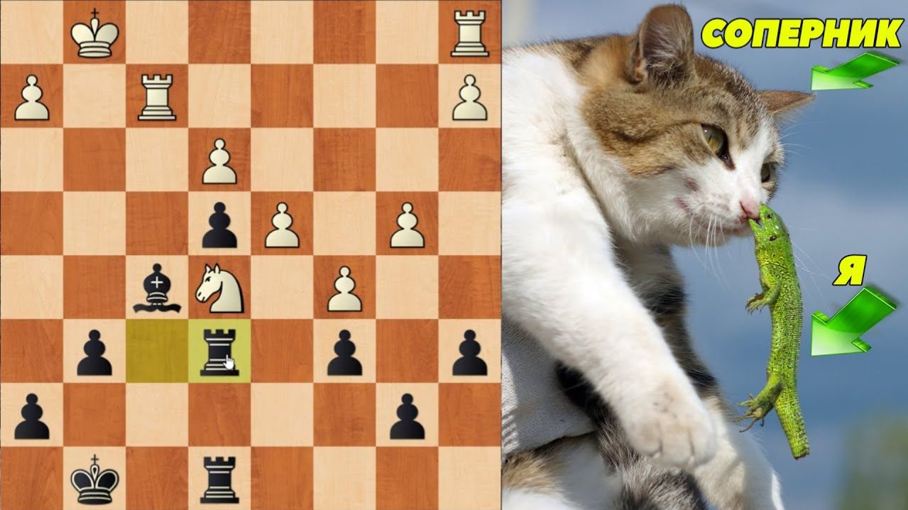 ШАХМАТЫ БЛИЦ. ДАЖЕ ЕСЛИ ПОЗИЦИЯ БАРАХЛО И ВРЕМЕНИ НЕТ-БОРИСЬ ДО КОНЦА И УДАЧА УЛЫБНЕТСЯ