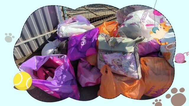 Наша помощь приюут 21 марта 2026