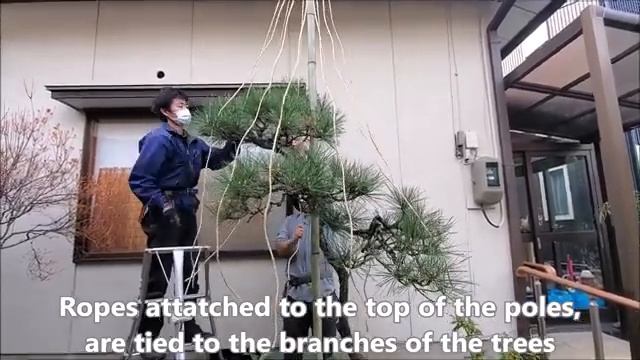 Строительство юкицури - 2