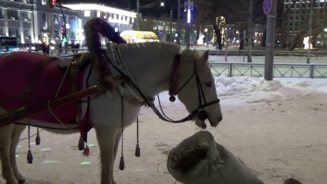 Вечерний Архангельск.