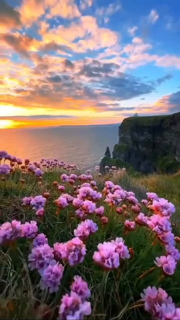 Не тратьте Жизнь...🤗