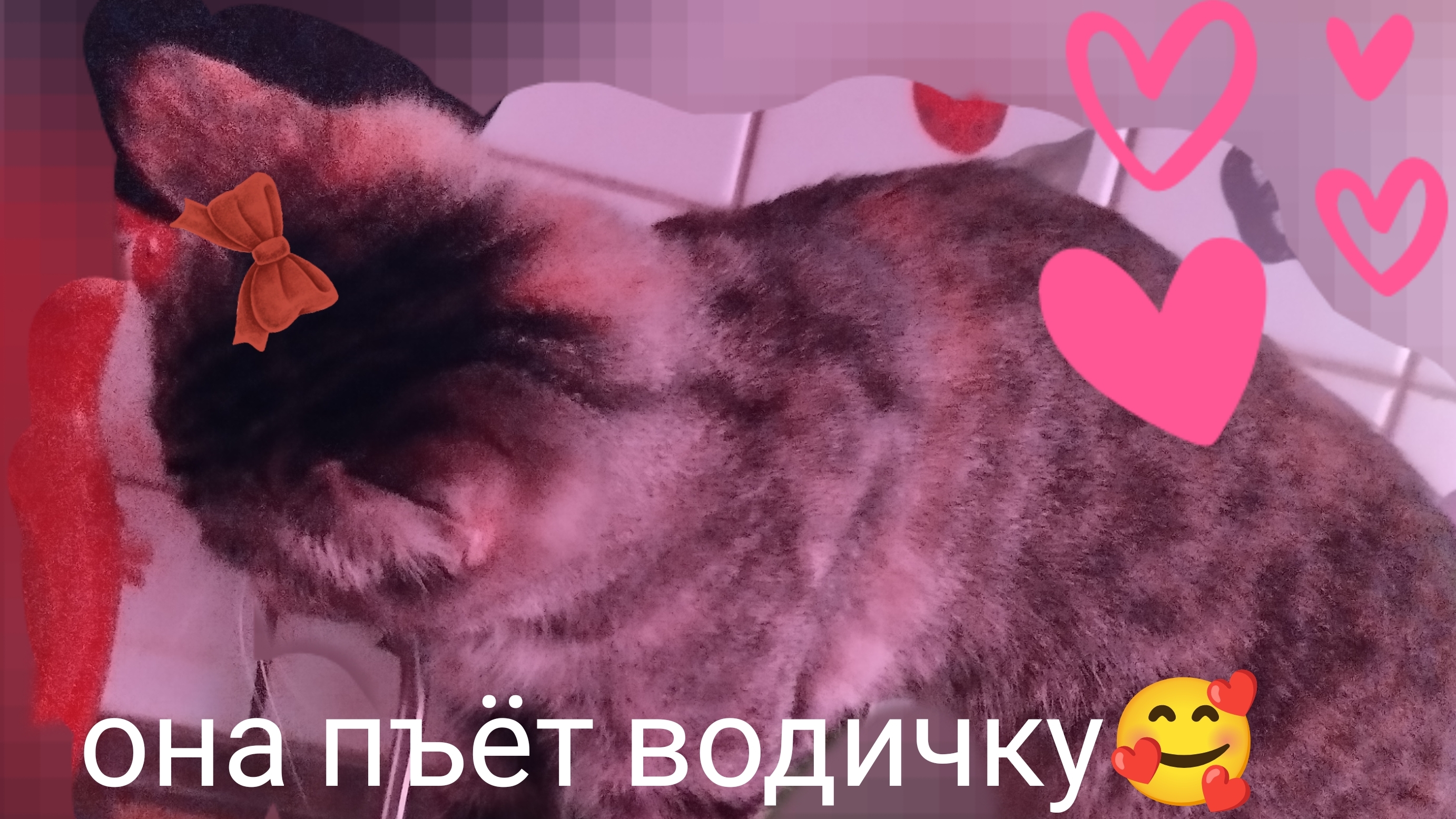 она милаха это точно.