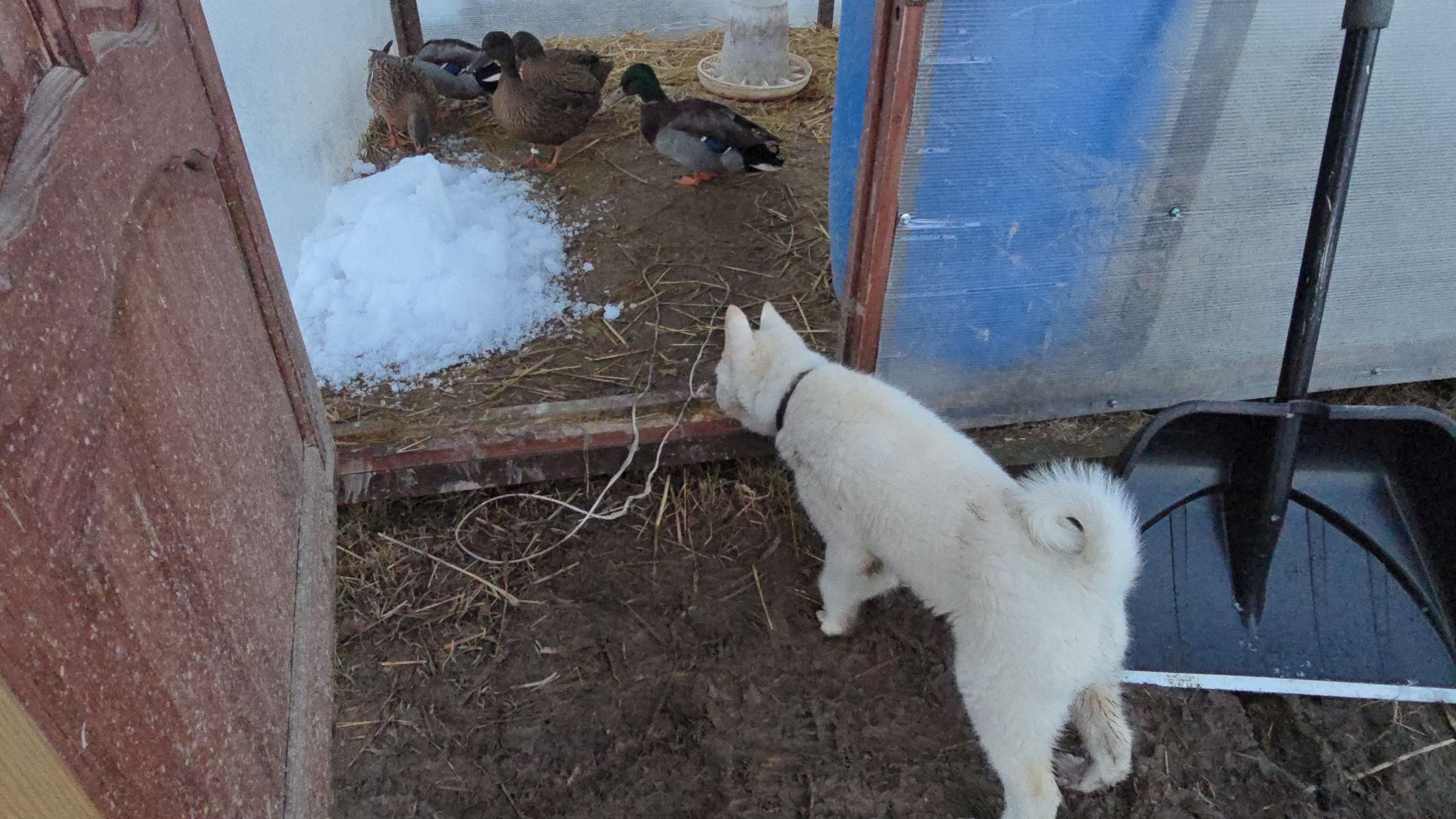 Время ужина и отдыха