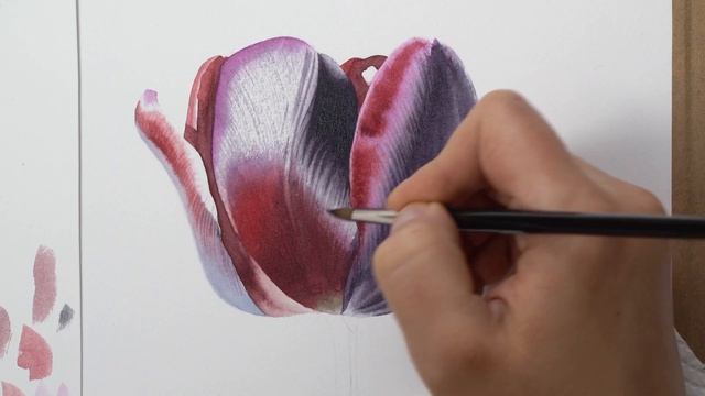 Реалистичная акварельная картина с тюльпанами 🌷 Рисуйте вместе со мной 🌷