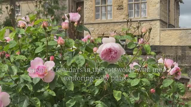 Несколько чудесных дней в Котсуолдсе. Часть 1 — Берфорд, Бленхеймский дворец, паб