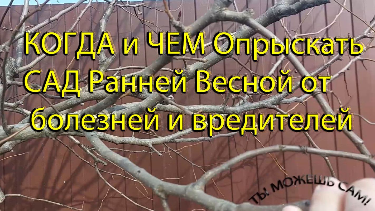 КОГДА и ЧЕМ Опрыскать САД Ранней Весной от болезней и вредителей?