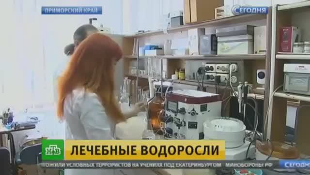 ИССЛЕДОВАНИЕ  ВОЗДЕЙСТВИЯ  ФУКОИДАН  (FUCOIDAN) на раковые клетки