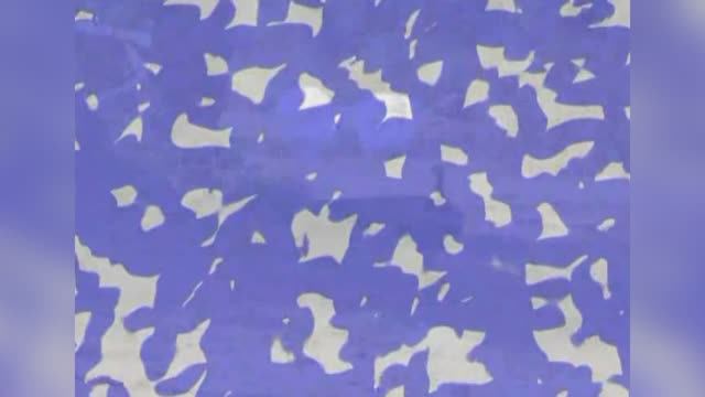 Ветер.  Рок-группа «ДДТ»