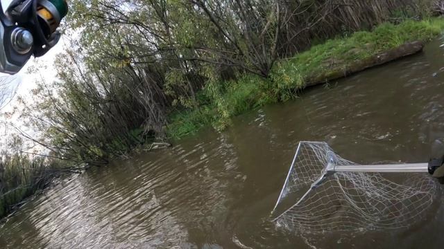 🔺️🎣ОБРЫБИЛСЯ🎣🔺️fishing#туризм#природа#ловля#рыбалка#щука#ловлящуки#ночевка#Чулым#река#спиннинг