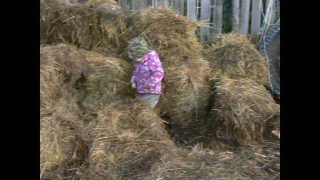 Три несчастных гуся / Они атакуют.