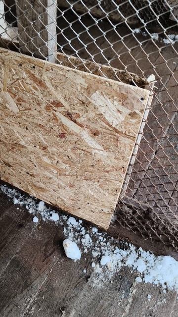 На видео Миша показывает как нужно заколотить нижнюю часть вольеров где испортилась сетка рабица