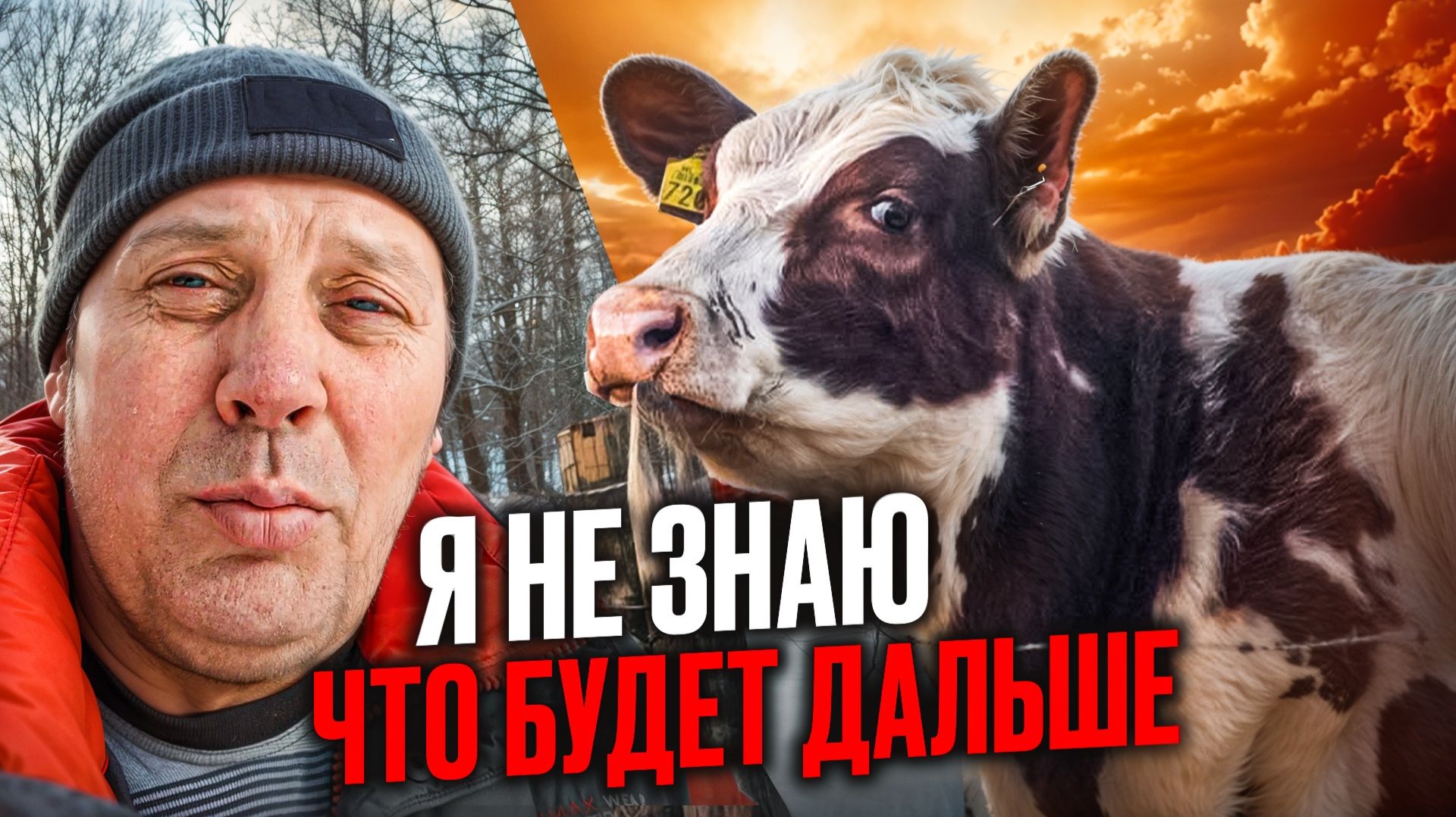 Посмотрите на них. А я стою на распутье после событий в Новосибирске. Бросить или не бросить