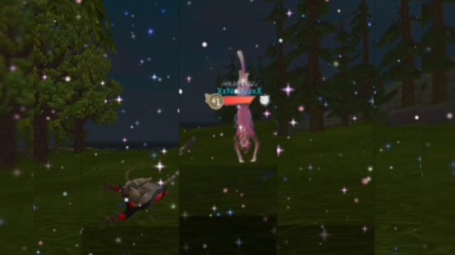 WildCraft шордц с синей звездой