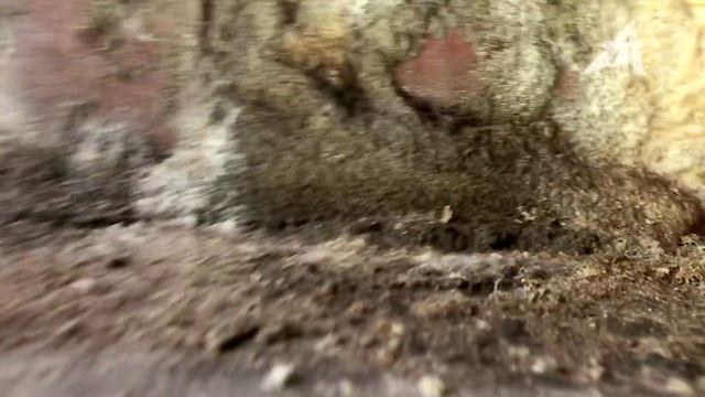 В обители мёртвых