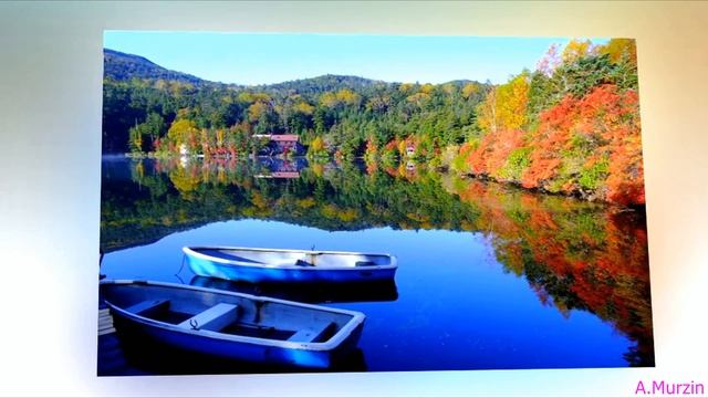 Angelo Taylor - Double Defeat