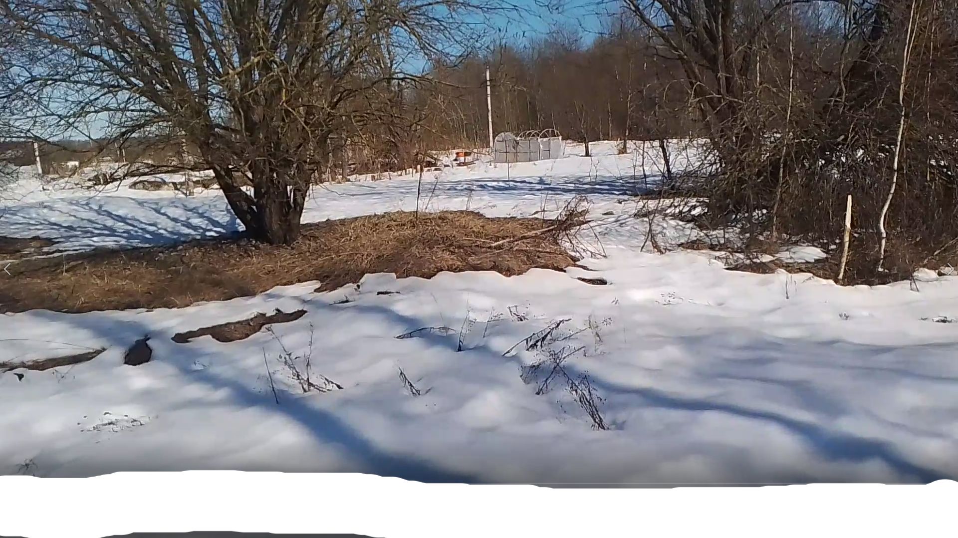 Обзор Огорода на 21.03.2026