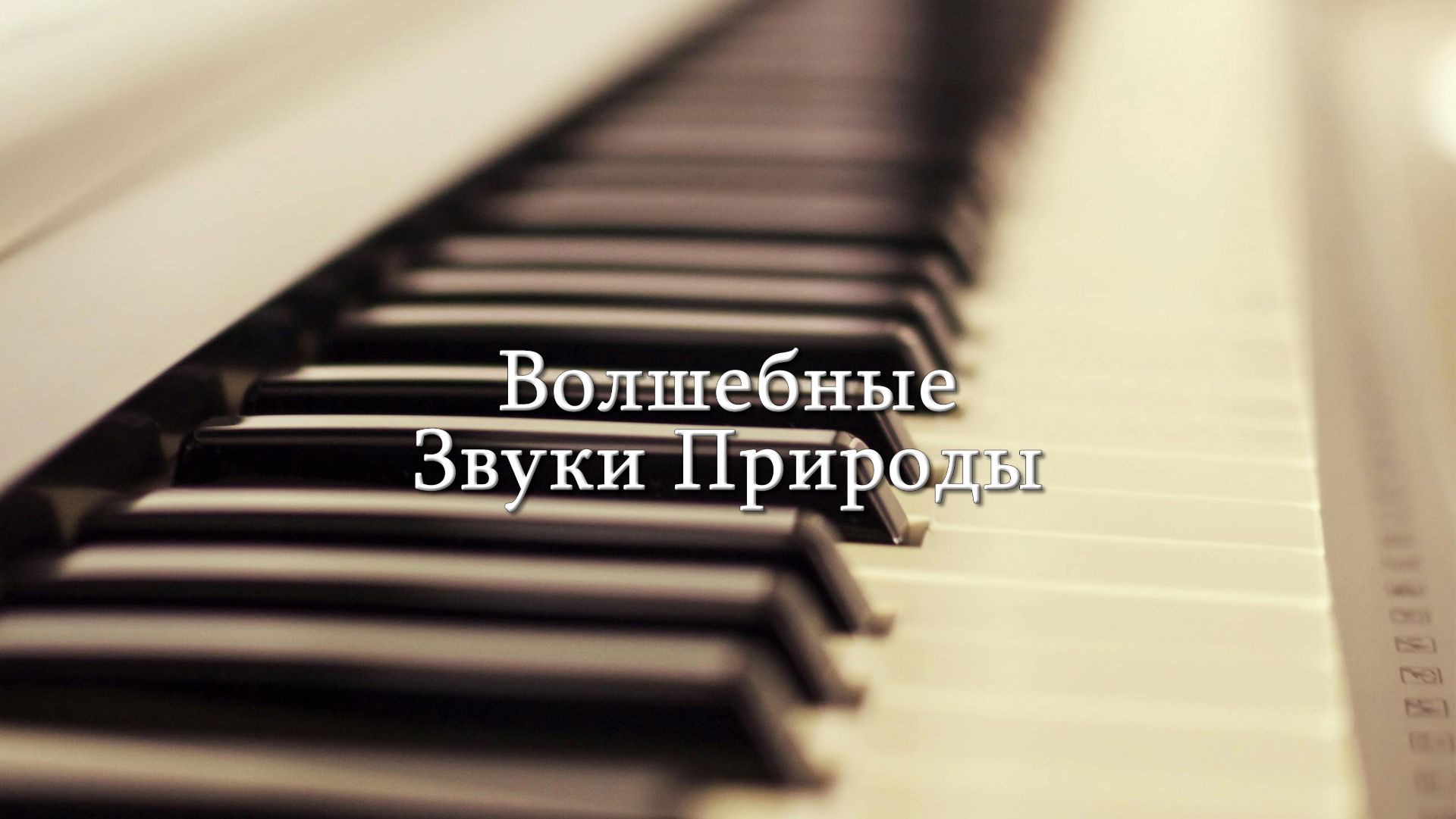 Волшебные звуки природы» — это больше, чем просто канал. 🌿🎧🌿