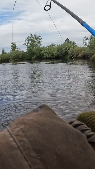 Вот это рыбалка!