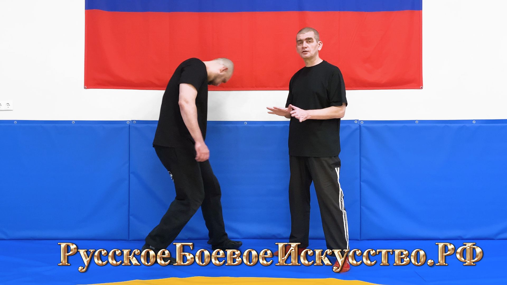 R366 = ОСТРЫЙ УДАР, ПРОБИВАНИЕ НАСКВОЗЬ.