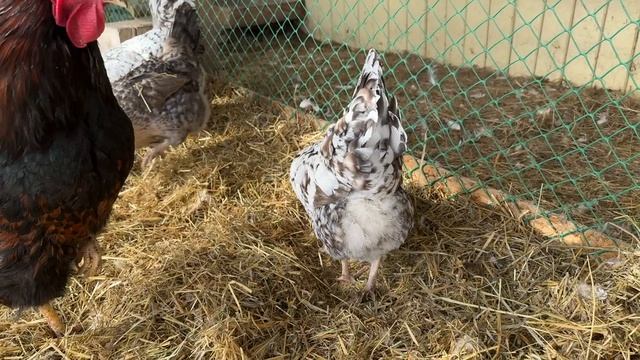 22.03 рабочие будни