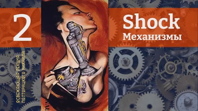 Шок - Лекция 2 - часть 2 Михаил Полторацкий