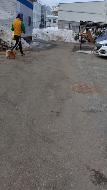 №1837 Двор Сибирская 73. 22 марта 2026 г., 10:41:36 VID_20260322_104108975